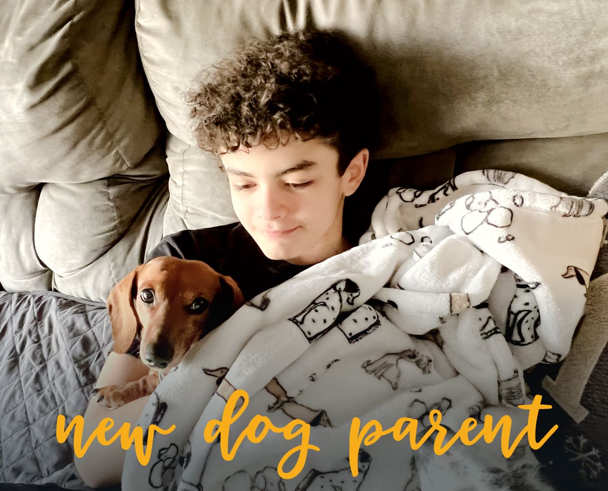 New Dog Parent Info | Happy Paws K9